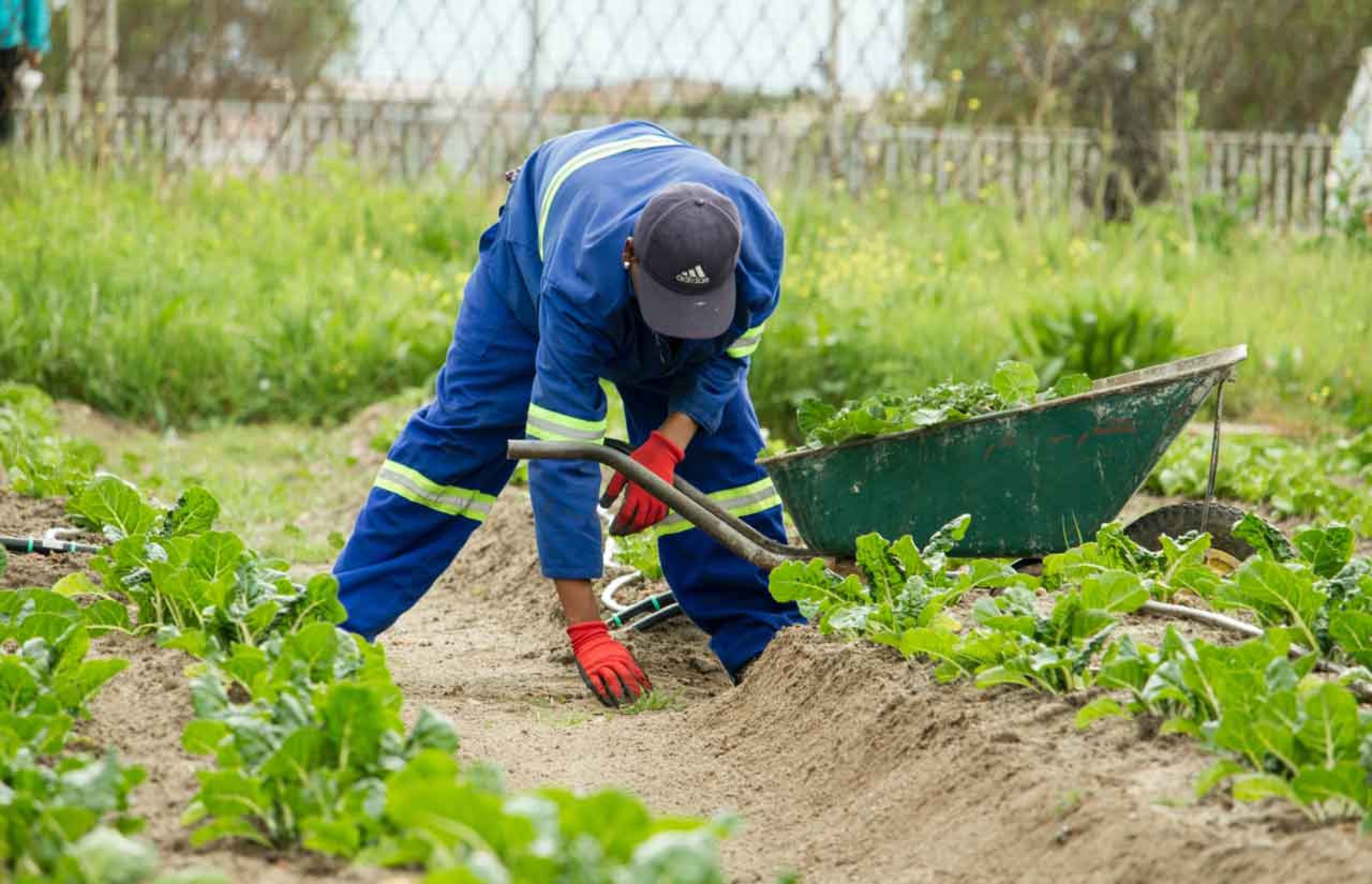 Fachkompetenz im Garten- und Landschaftsbau